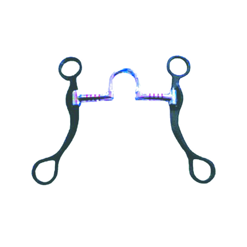 C1407 - sansongequestrian