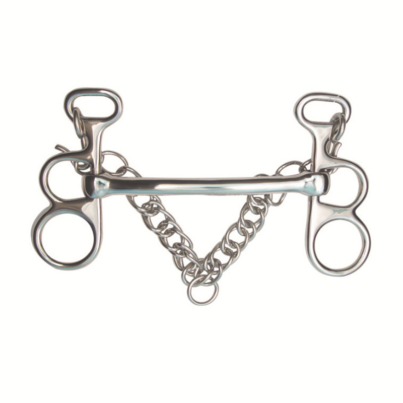 C21006 - sansongequestrian